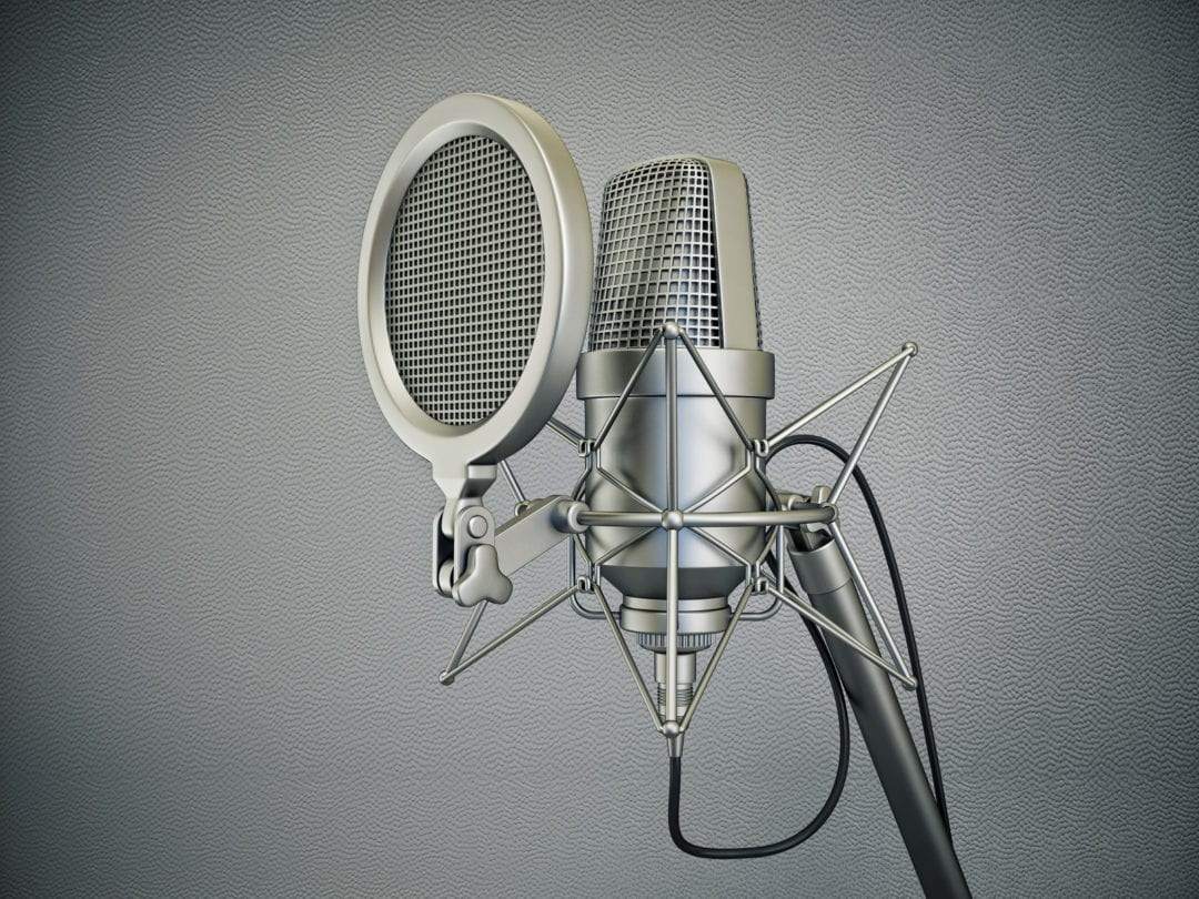 Trends in Voice-Over Translation
