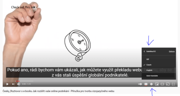 Multilingual Subtitles: 5 Tips on Foreign Language Subtitles | LingoStar